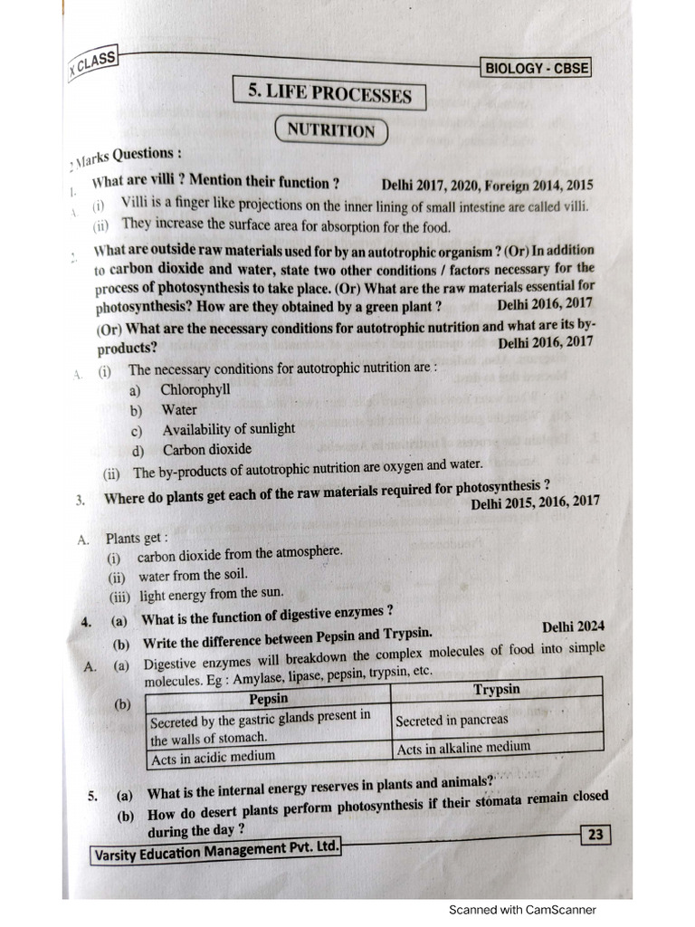 Life Process Answers | PDF