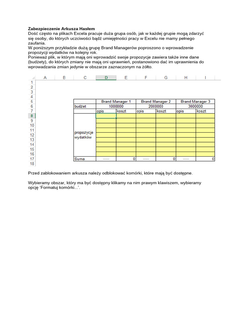 Zabezpieczanie Arkusza | PDF