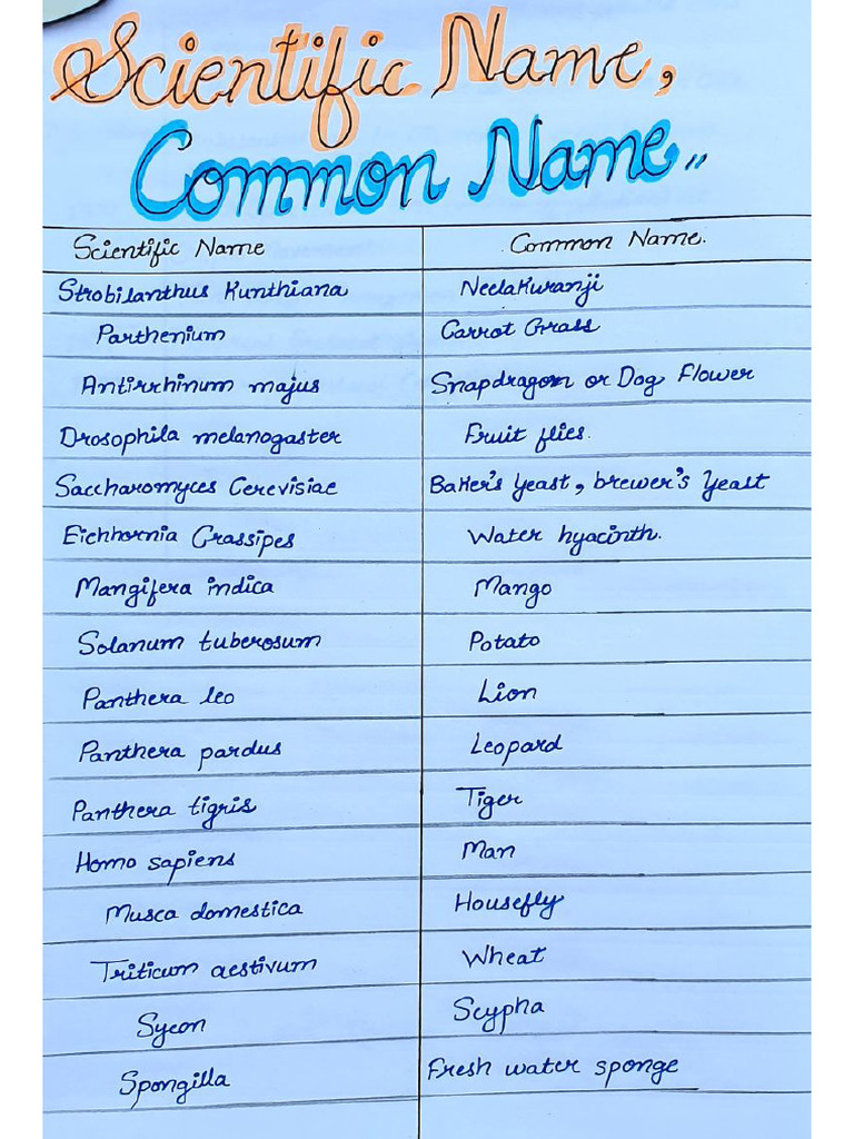 Scientific and Common Names NCERT Biology | PDF