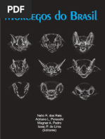 Malameus Aurum Ou Malamé Amarelo Estudo - Cientifico - VisualCientifico | PDF | Mamíferos | Espécies