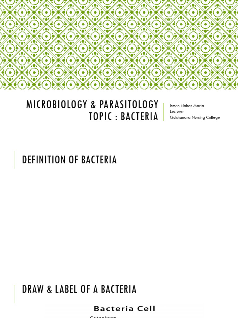 Bacteria | PDF | Bacteria | Gram Positive Bacteria