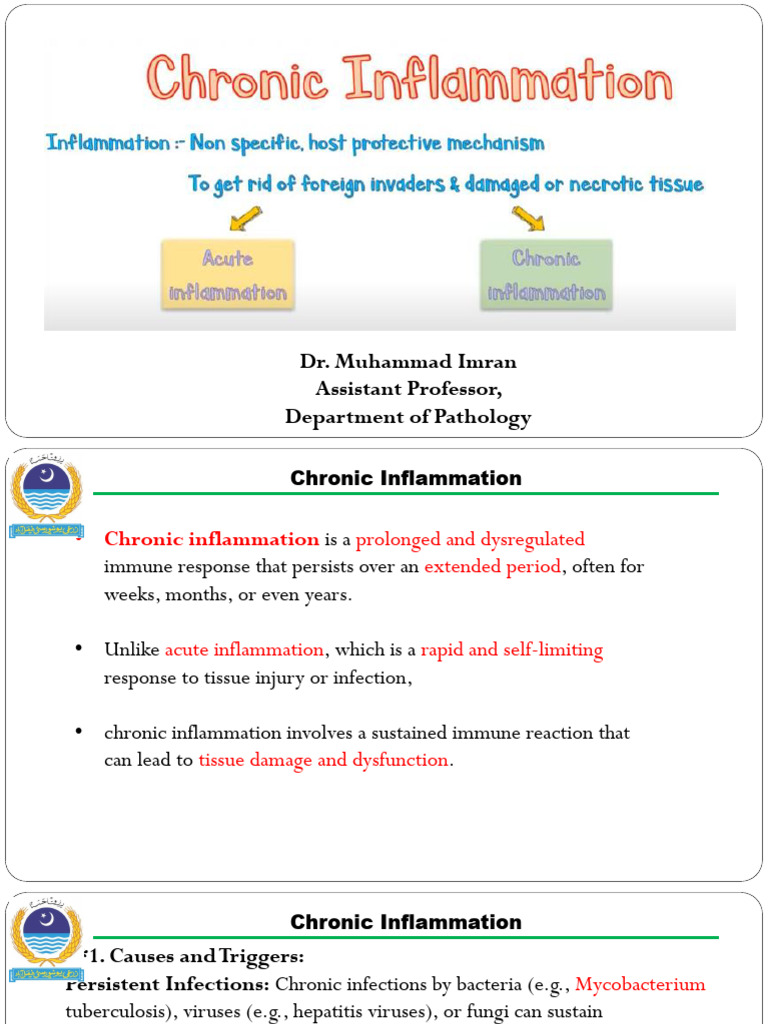 L3 - Chronic Inflammation, Signs and Mechanism | PDF | Inflammation ...