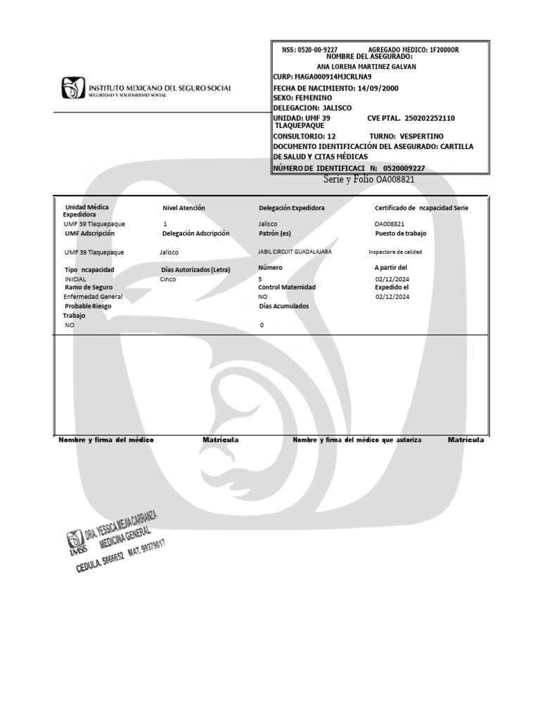 Formato Incapacidad | PDF