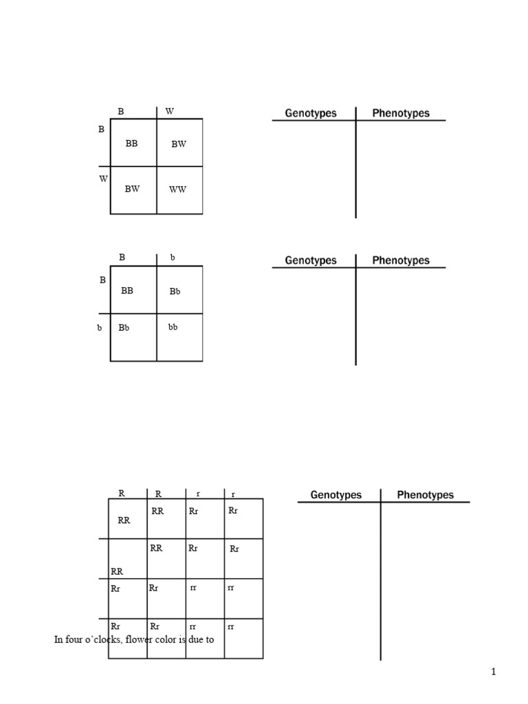 Incomplete Dominance Practice Problems | PDF | Genotype | Dominance ...