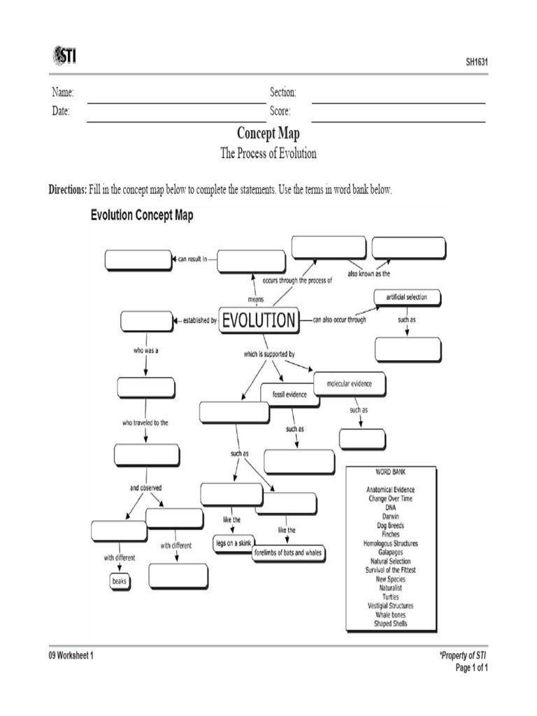 Evolution Concept Map Worksheet | PDF