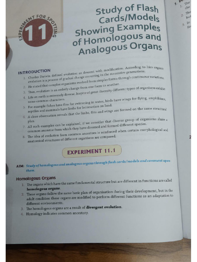 Image To PDF 20250117 23.40.25 | PDF