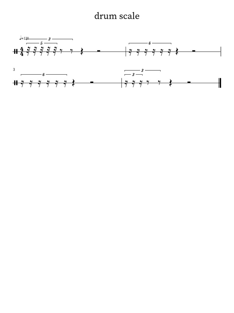 Drum Scale | PDF