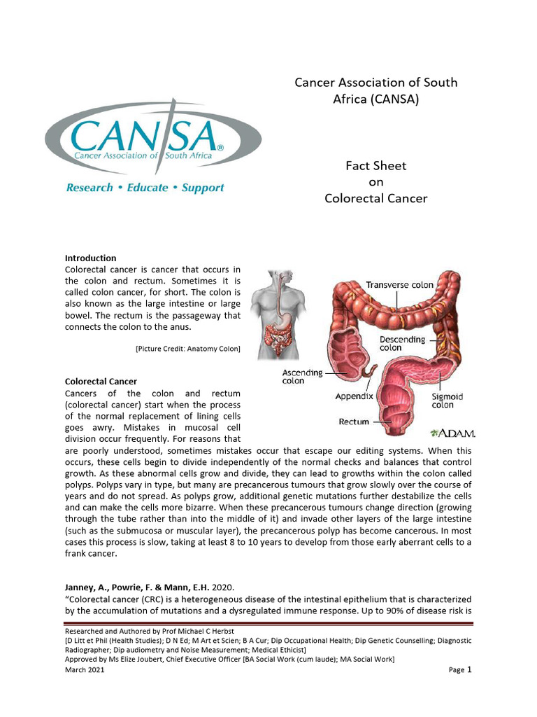 Fact Sheet On Colorectal Cancer NCR 2017 Web March 2021 | PDF ...