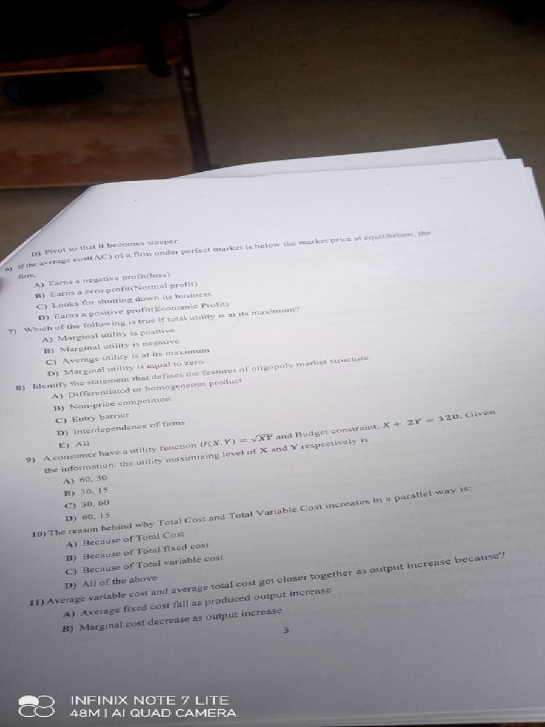 Economics Final Exam 6 (AAU) | PDF