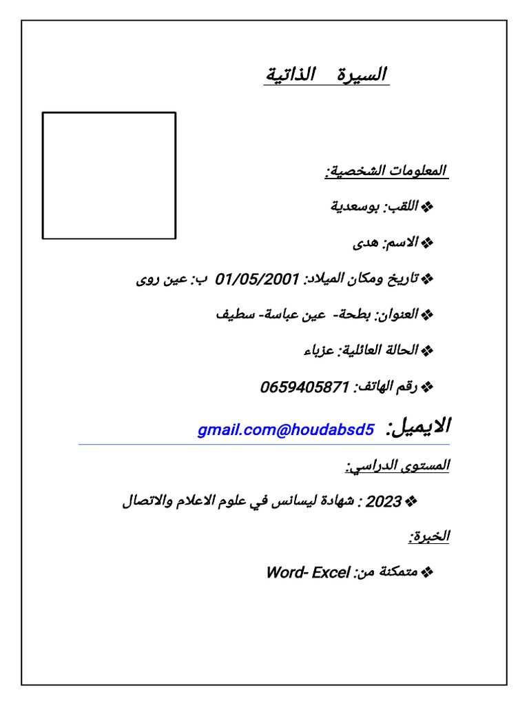 CV Houda | PDF