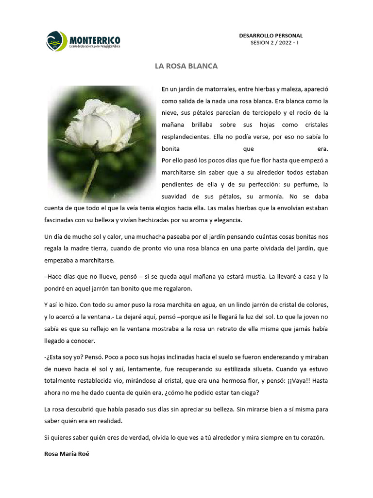 S2 Lectura LA ROSA BLANCA | PDF | Rosa