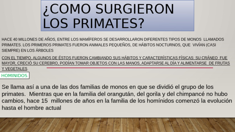 Origen y evolución de los primates | PDF