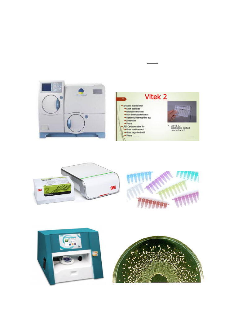 Rapid Identification Lab Guide | PDF