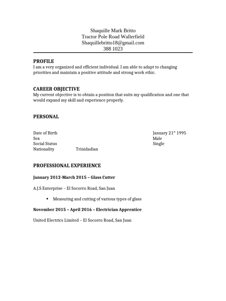 Britto Resume | PDF