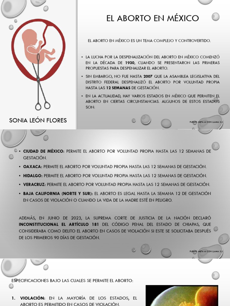 EL ABORTO | PDF | Aborto | México