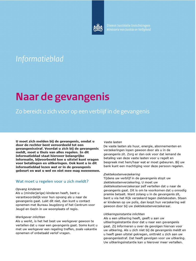 Informatieblad Dji Zelfmelders Web | PDF