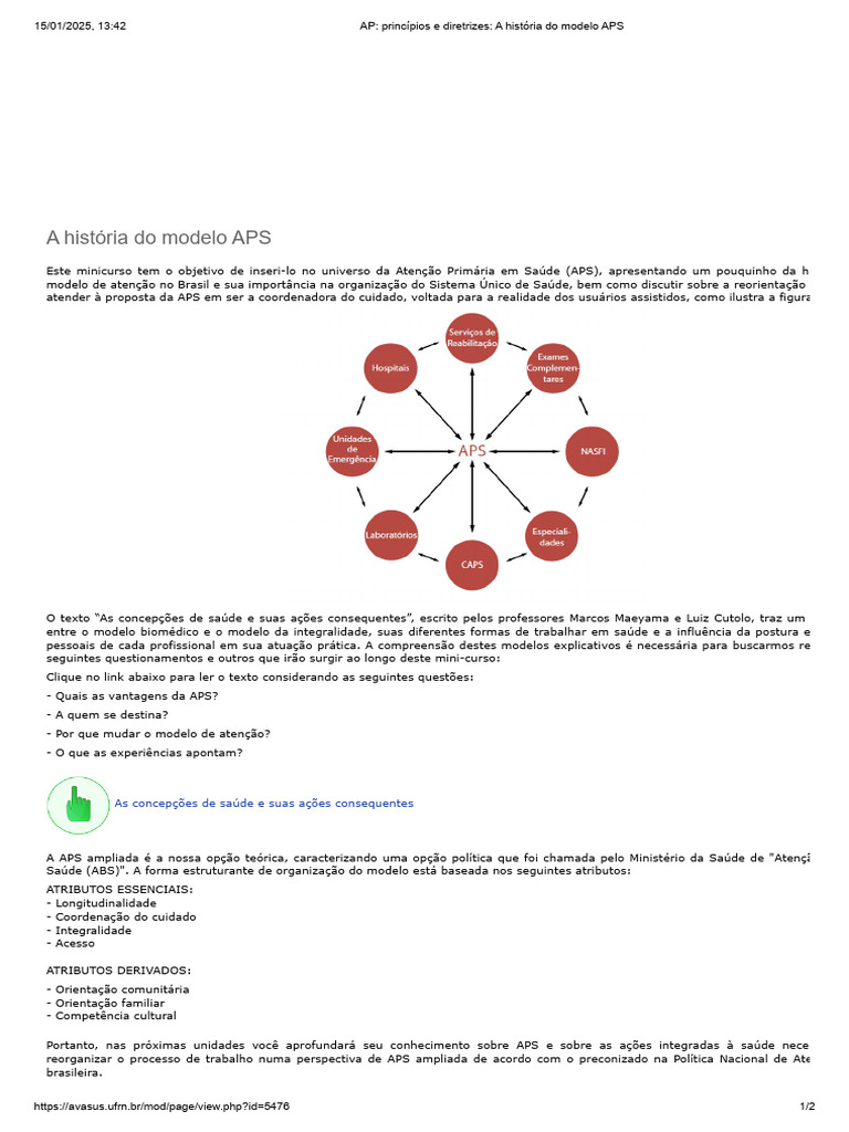 AP - Princípios e Diretrizes - A História Do Modelo APS | PDF ...