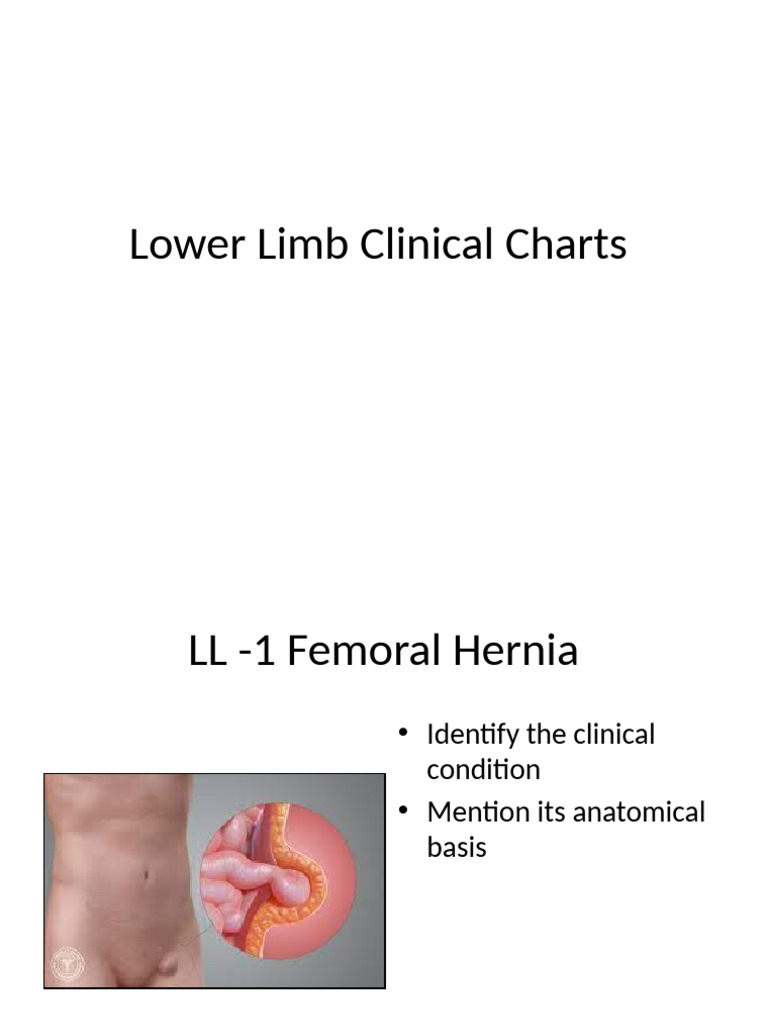 Lower Limb CLINICAL CHART Dec 2024 | PDF