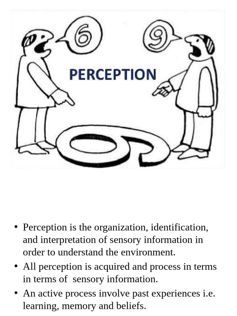 1. Perception | PDF