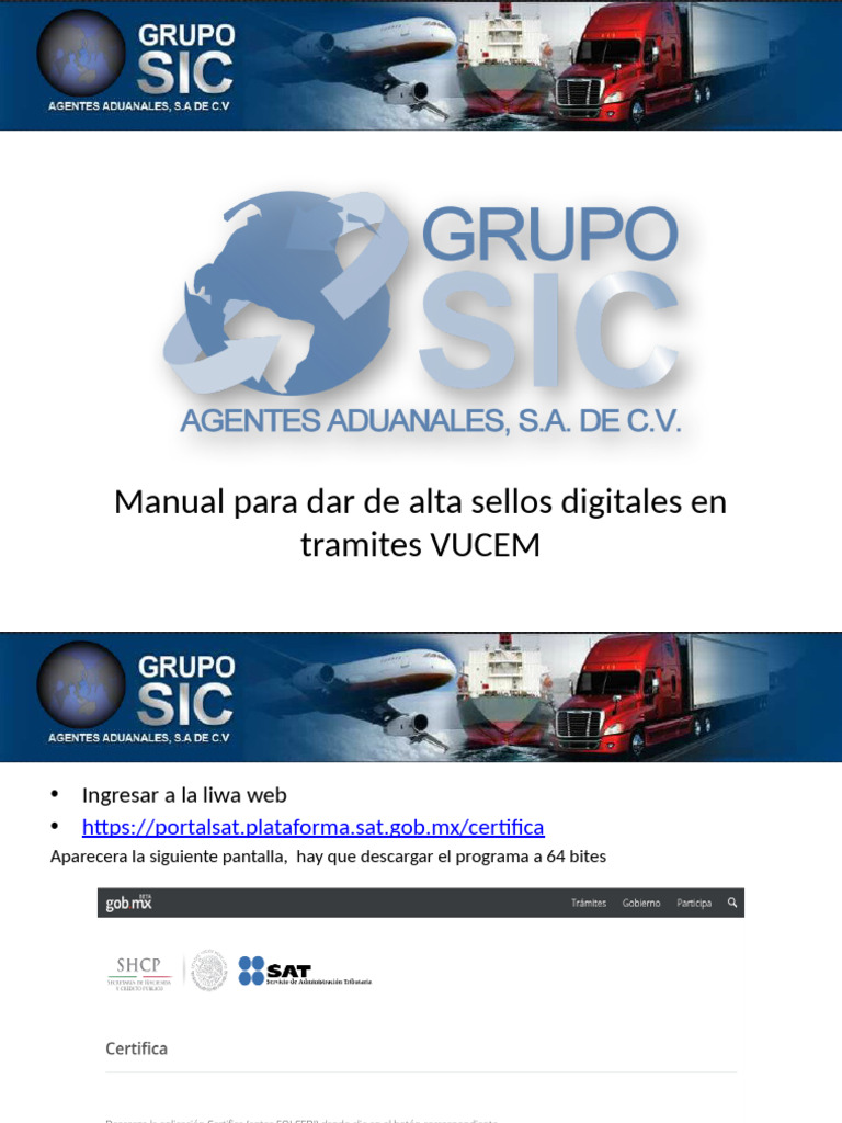 Alta de Sellos Digitales en VUCEM | PDF | Informática