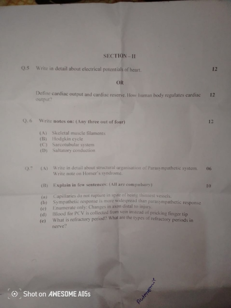 First Year Mbbs Interns Exam Paper | PDF