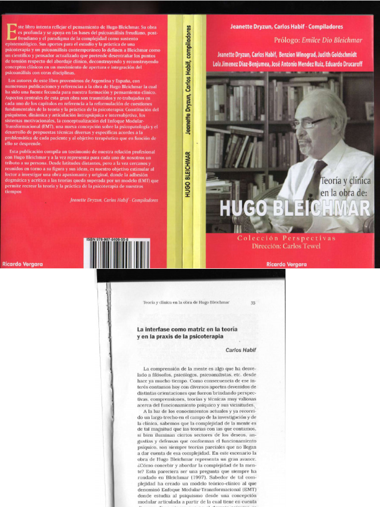 La Interfase Como Matriz de La Teoría y La Praxis en La Psicoterapia - Habif, C 2021 | PDF