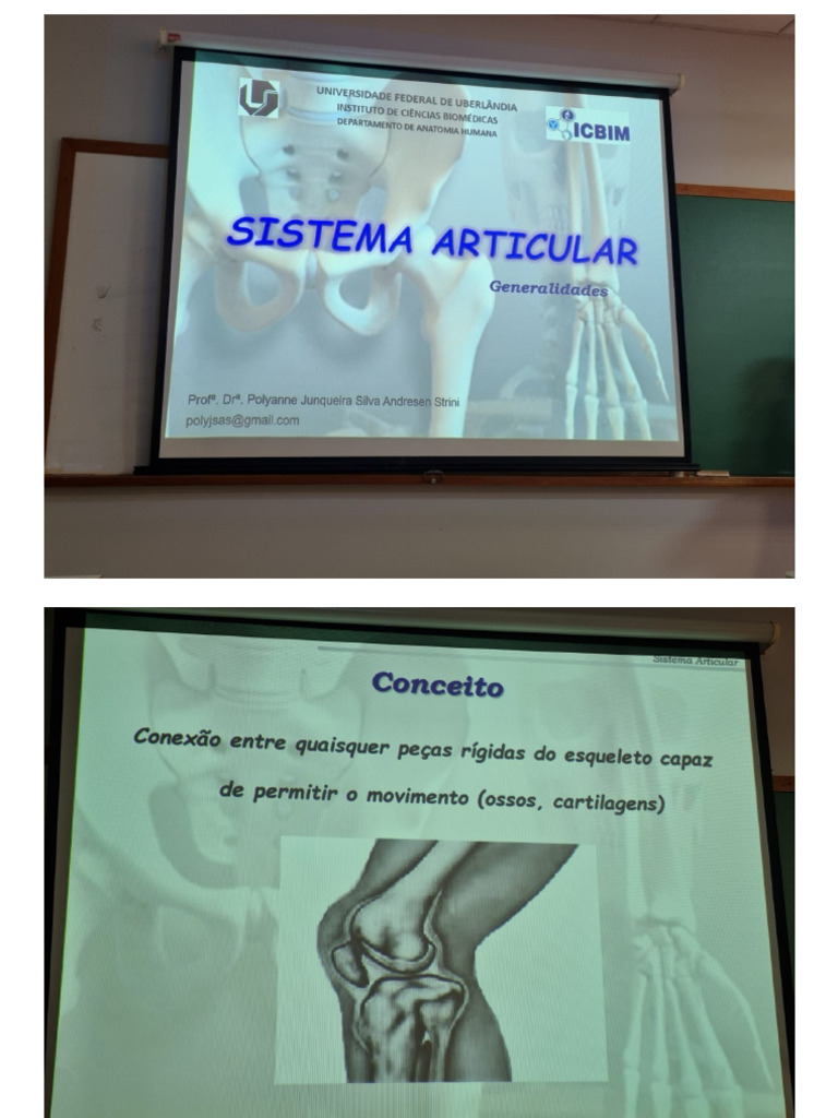 1D334A46-EF43-4EB1-A738-FEA897A9F966 | PDF