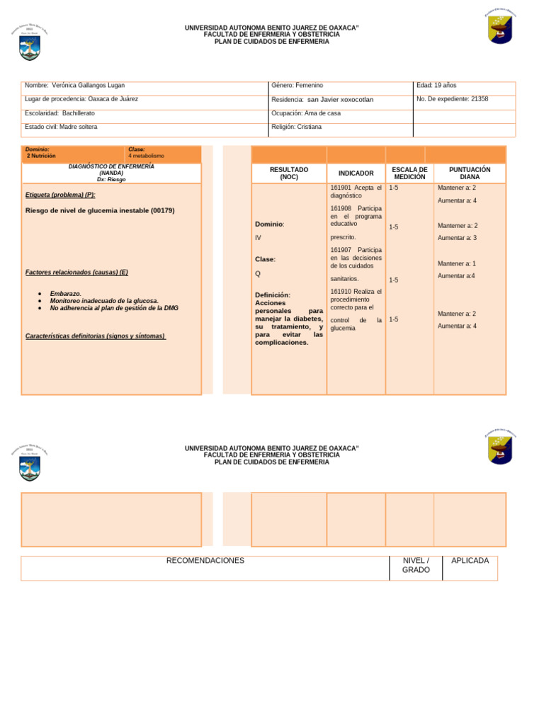 FORMATO PLACE | PDF | Enfermería | Partería