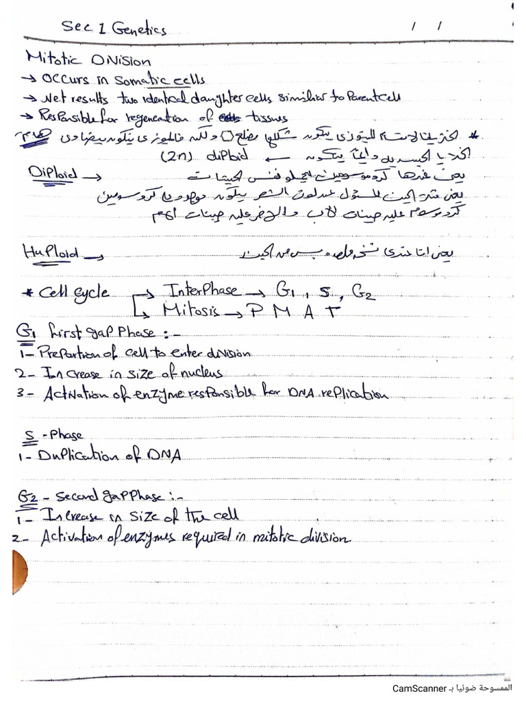 Practical 1,2,3,4genetics | PDF