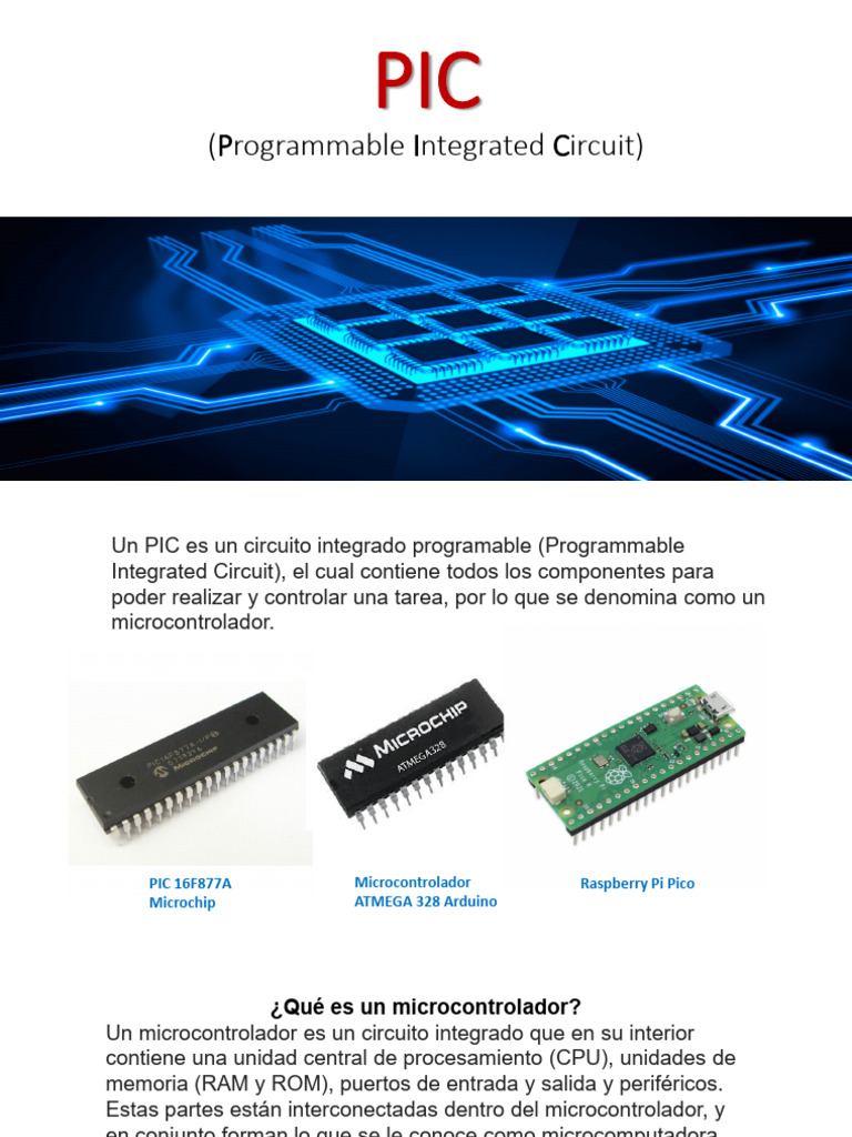 Introduccion A Los Microcontroladores | PDF | Microcontrolador | Unidad Central de procesamiento