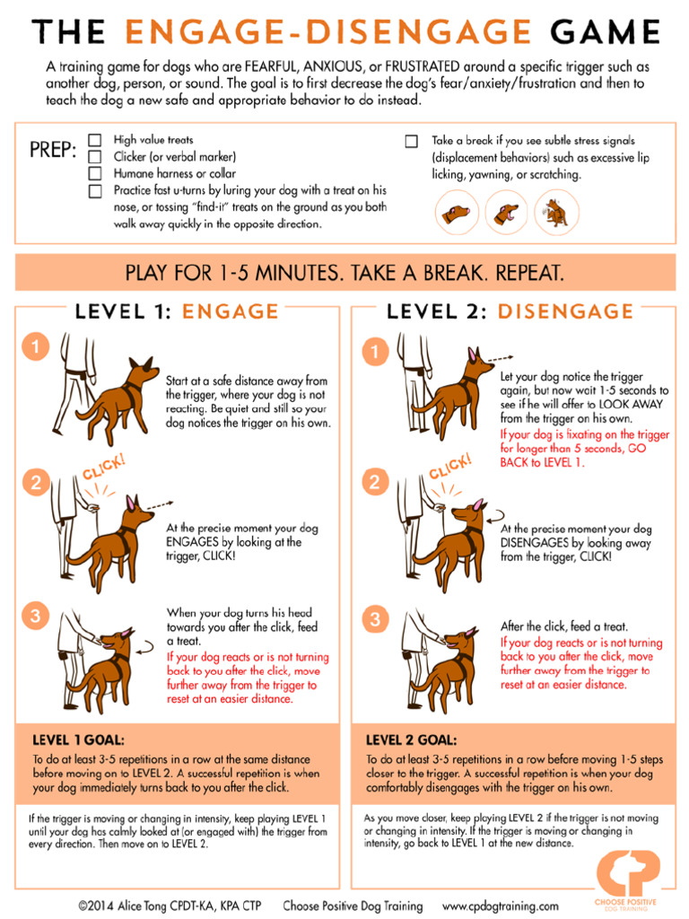 The Engage Disengage Game | PDF