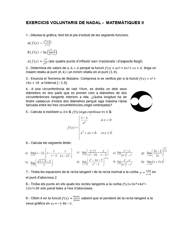 VOLUNTARIS 2a AVALUACIÓ | PDF