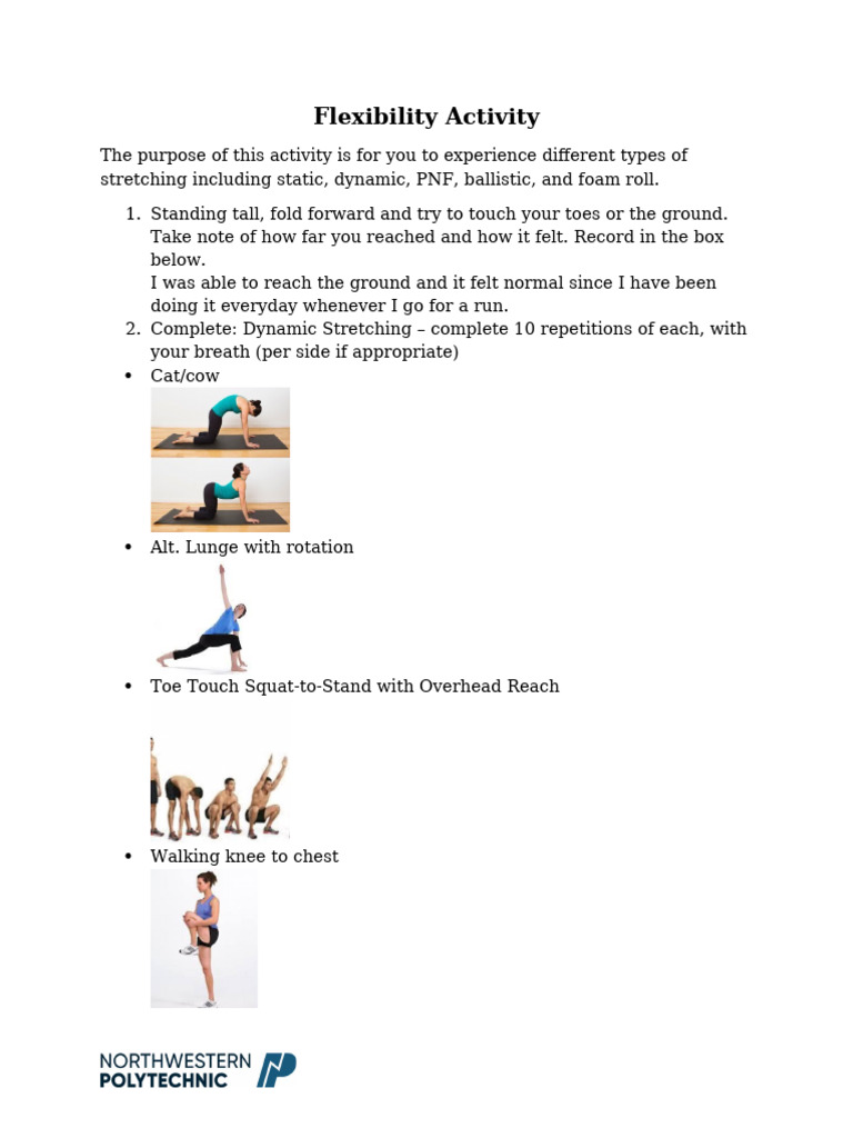 Flexibility Activity | PDF | Musculoskeletal System