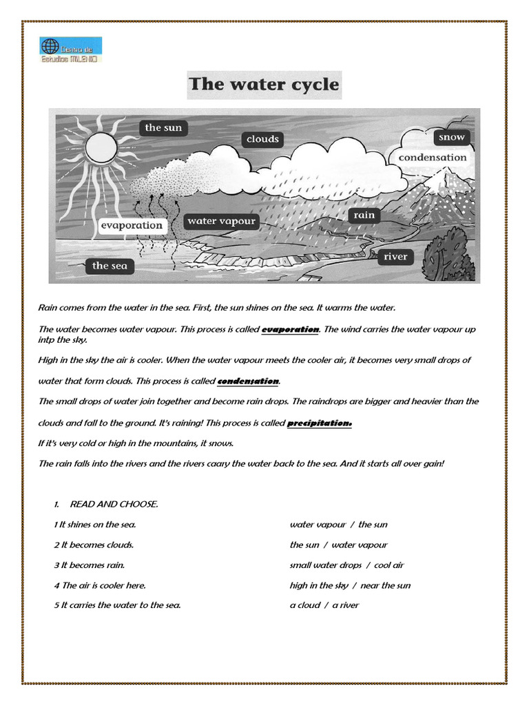 the-water-cycle_57532 | PDF