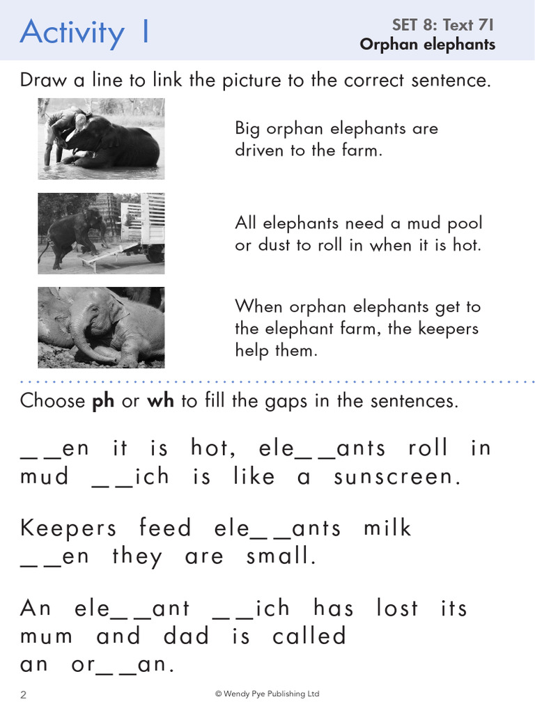 Orphan Elephants and Animal Stories Activities | PDF | Sheep