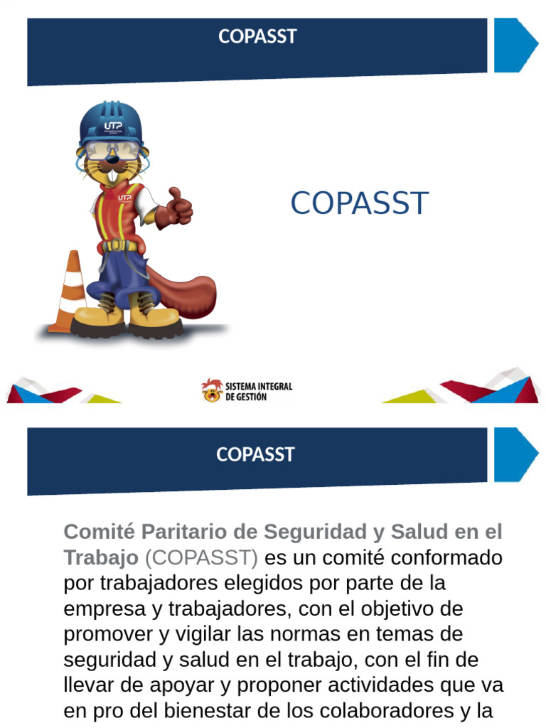 Comité COPASST: Funciones y Estructura | PDF | Business