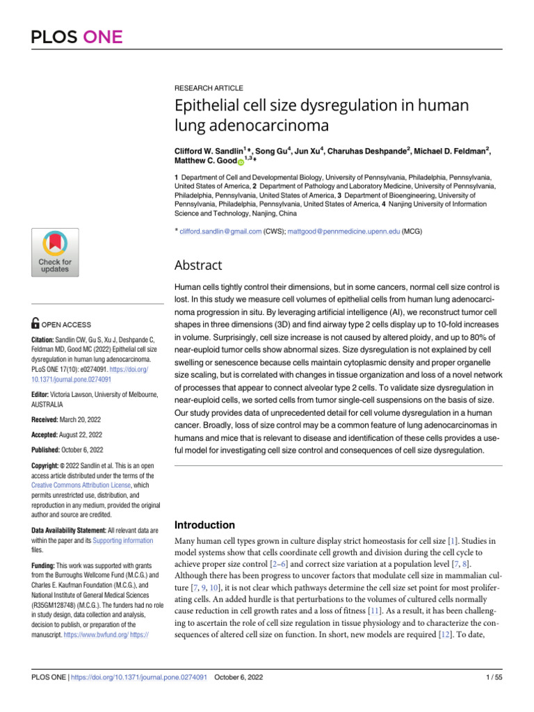 Epithelial Cell Size | PDF | Cell (Biology) | Cell Growth