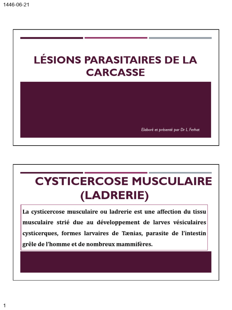 Cysticercose musculaire : Ladrerie | PDF | Spécialités médicales ...