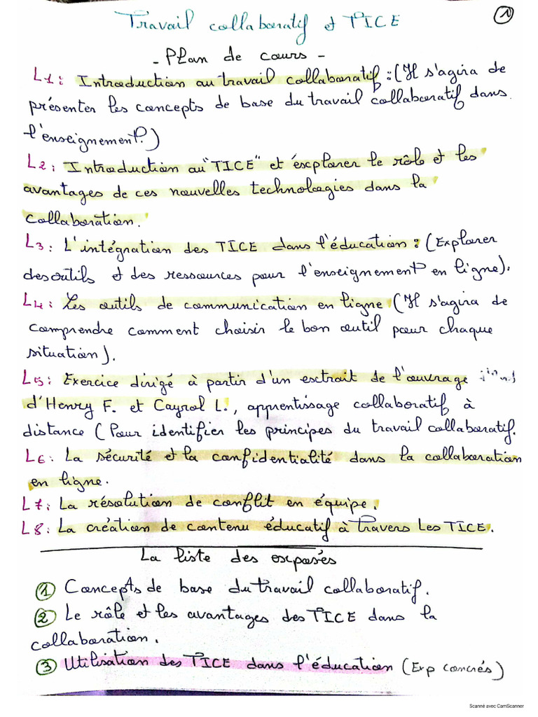 Travail Collaboratif Et TICE | PDF