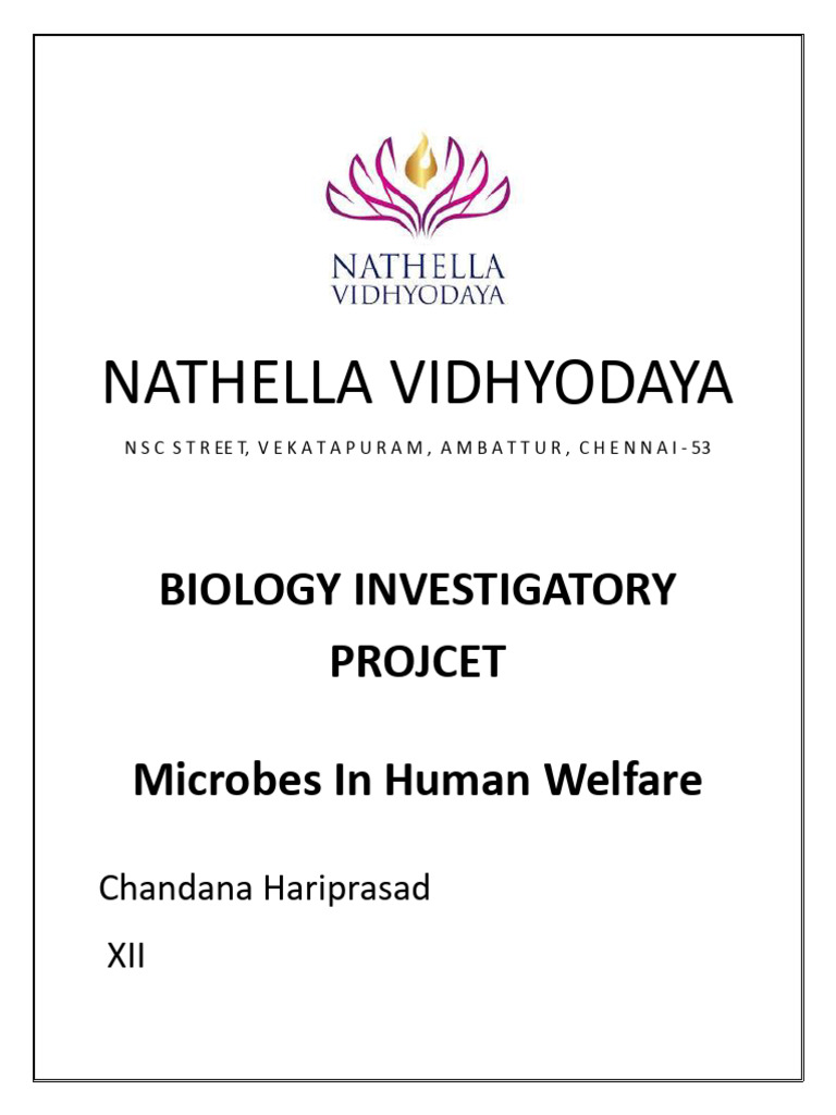 Microbes in Human Welfare investigatory project (1) | PDF ...