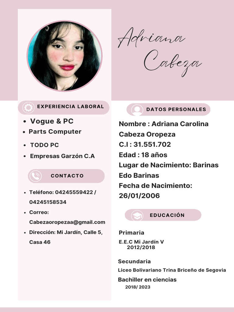 Curriculum Vitae de Mujer Profesional Con Foto Femenino Rosa | PDF