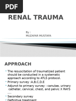AAST Renal Injury Scale | PDF | Kidney | Injury