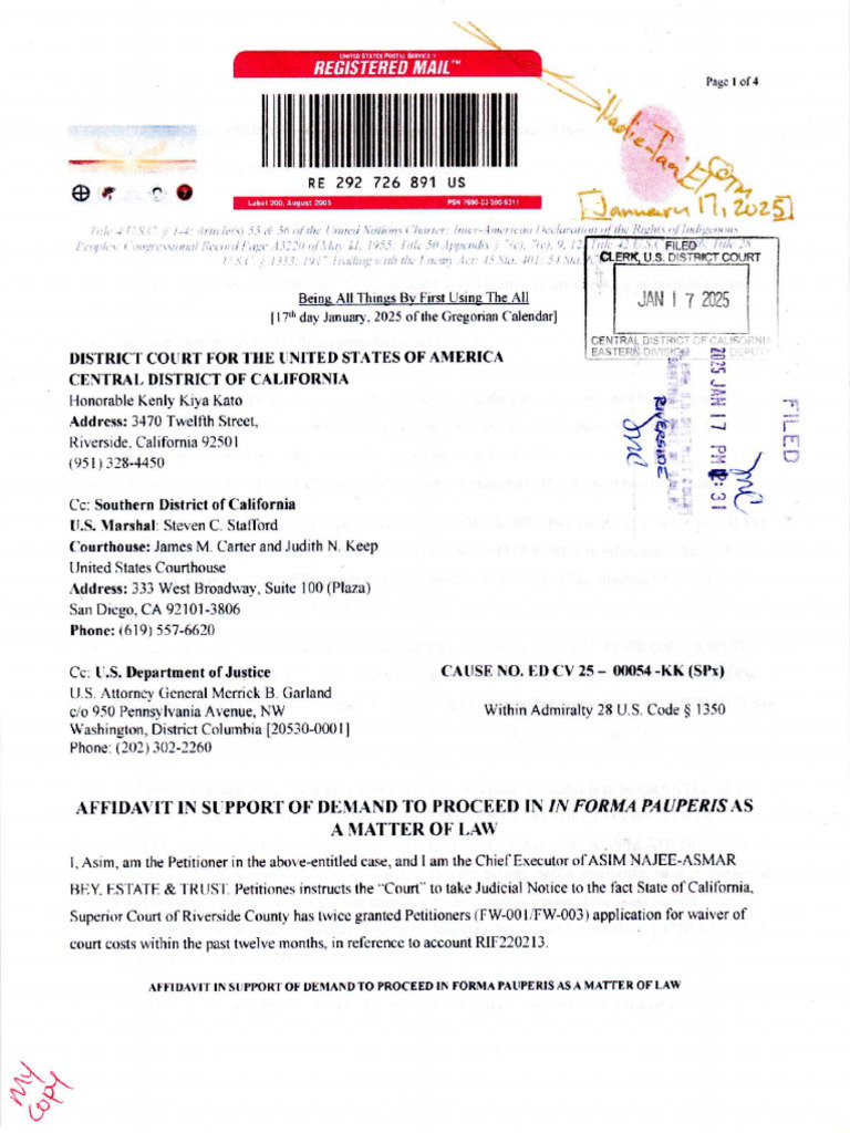 Affidavit for In Forma Pauperis Status | PDF | Federal Rules Of Civil ...