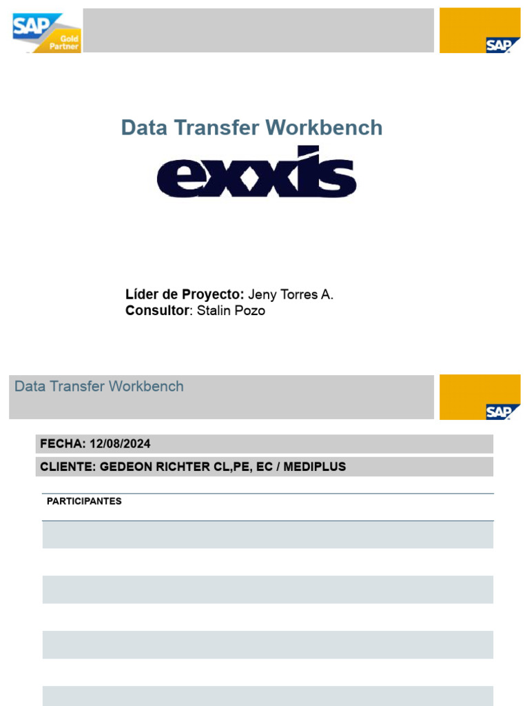 GR-MP-Exxis - Instructivo Data Transfer Workbench | PDF | Informática | Software