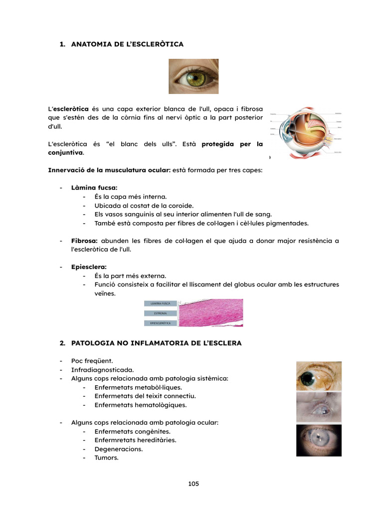 1. Esclera | PDF