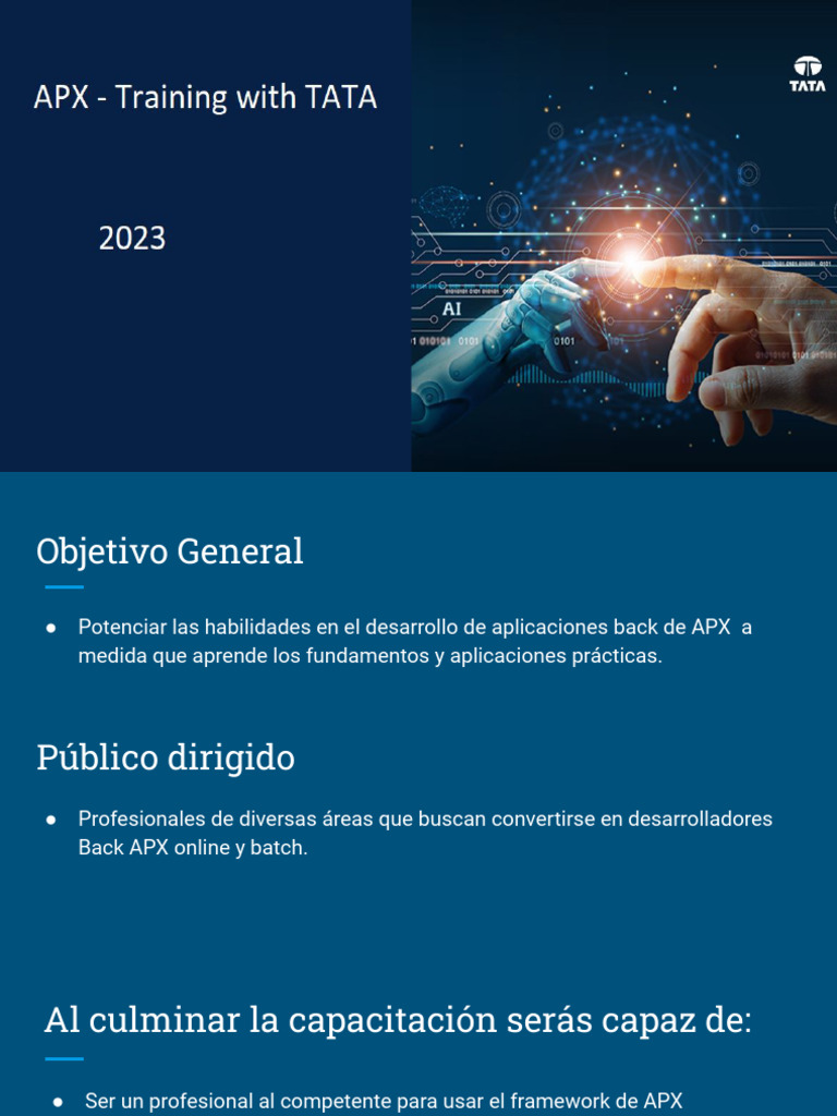 Curso de Desarrollo Back APX Online | PDF
