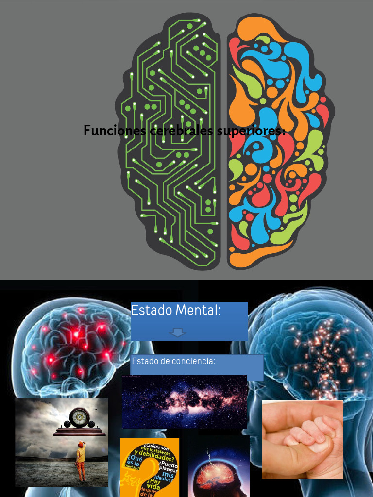 Diapos Practica 2.pptx - 20250116 - 005813 - 0000 | PDF | Memoria | Alucinación