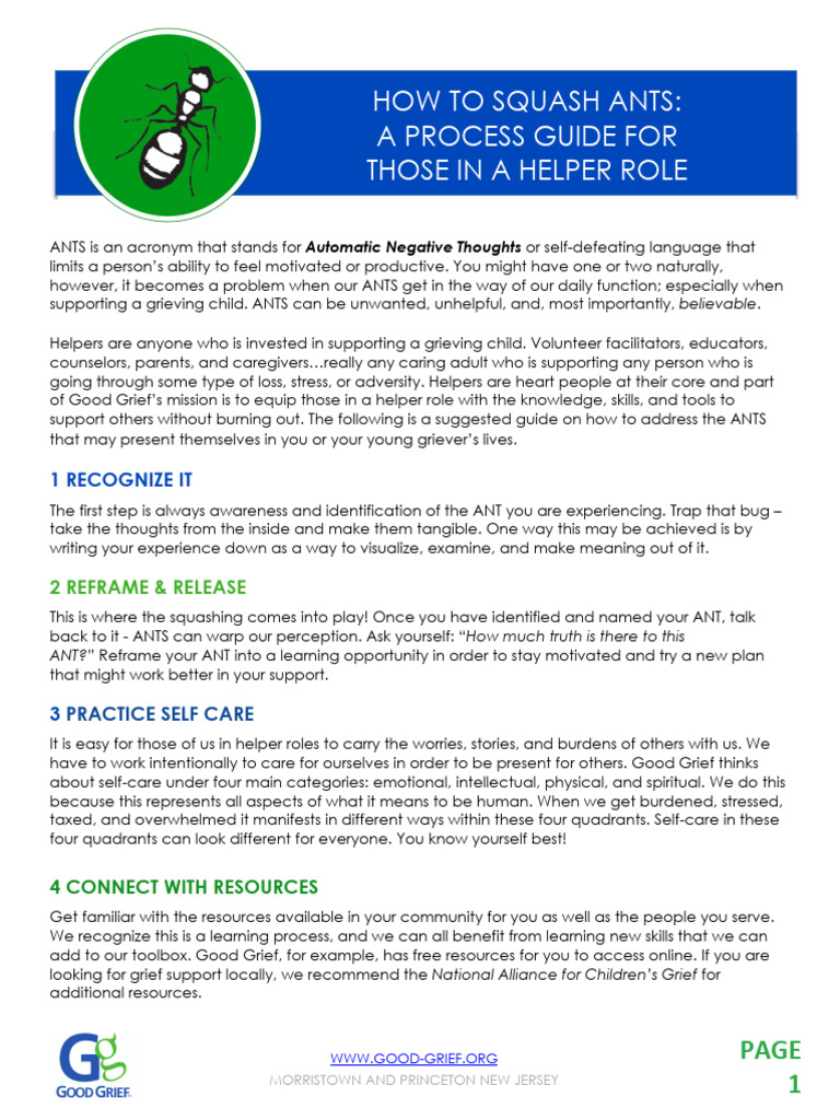 ANTS Handout DRFT 2022-04-29 Apefm | PDF | Grief | Cognitive Science