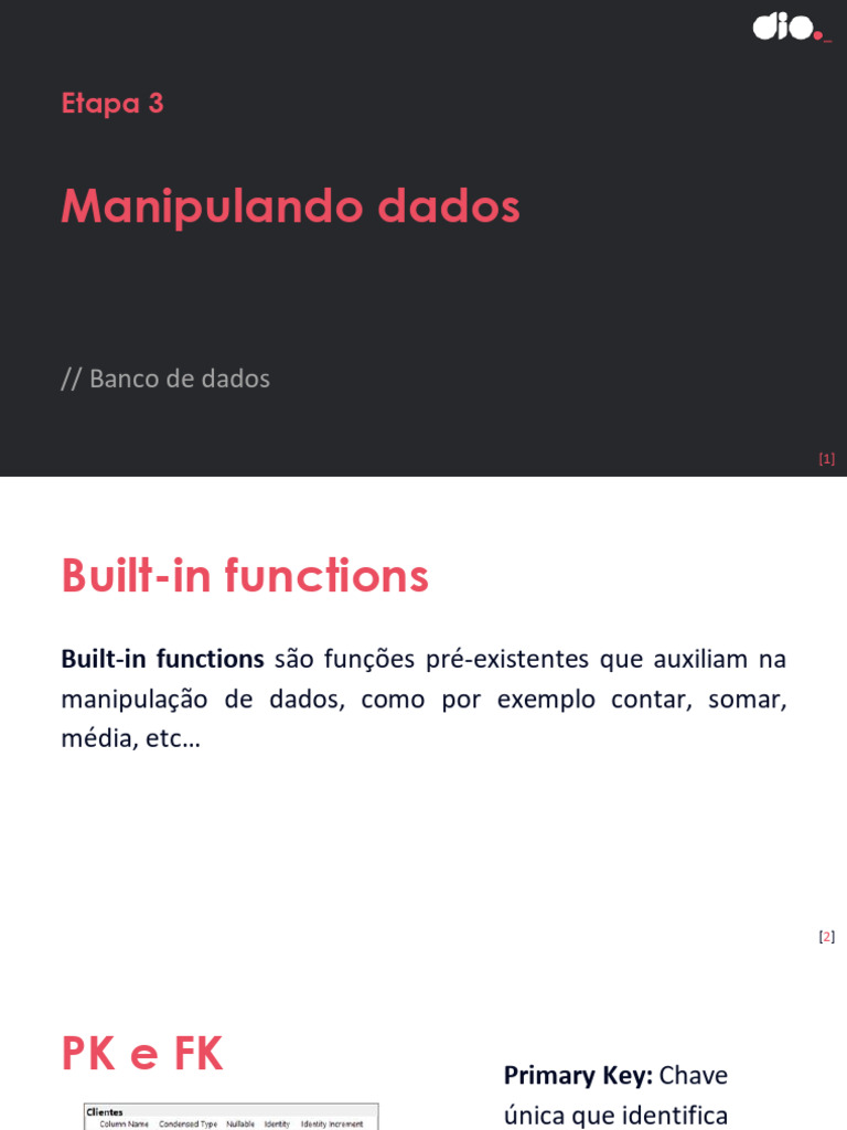 Etapa 3 - Manipulando Dados | PDF