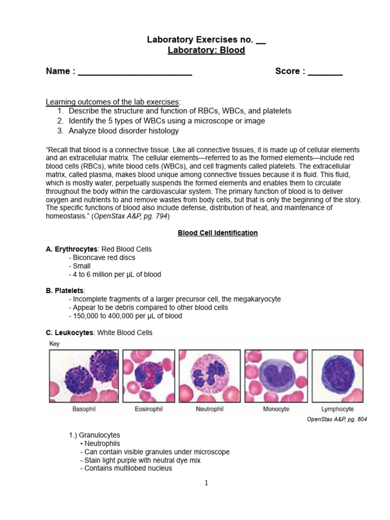 Blood Cell Identification Lab Guide | PDF | White Blood Cell | Blood Cell